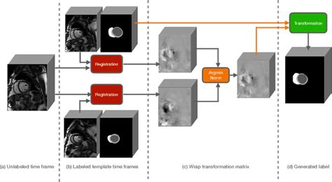 semi supervised cardiac image segmentation via label propagation and