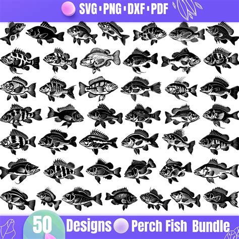 High Quality Perch Svg Bundle Perch Dxf Perch Png Perch Vector