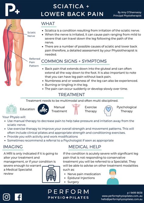 What Is Sciatica Perform Physio Pilates