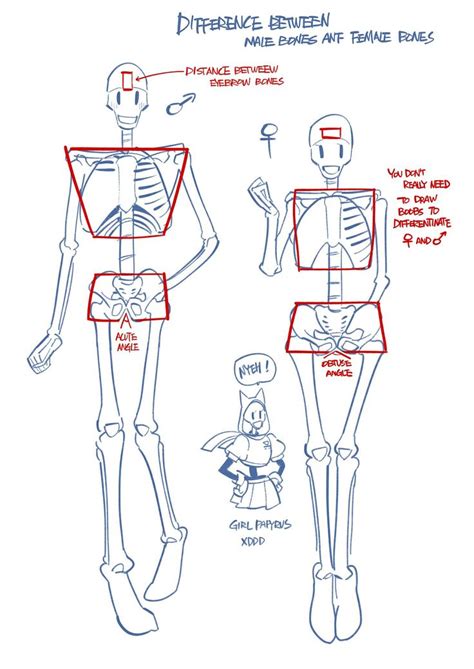 How To Draw Skeletons Skeleton Drawings Drawing Reference Drawing Reference Poses