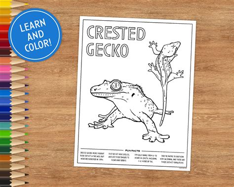 Crested Gecko Coloring Pages