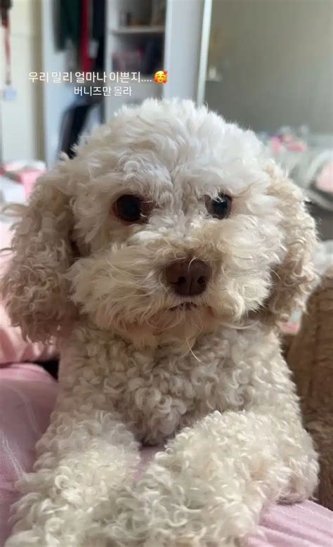 Theyre Both Really Cute 🥰 팬플러스 Community