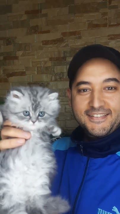 الأسدسيمبا Youtube