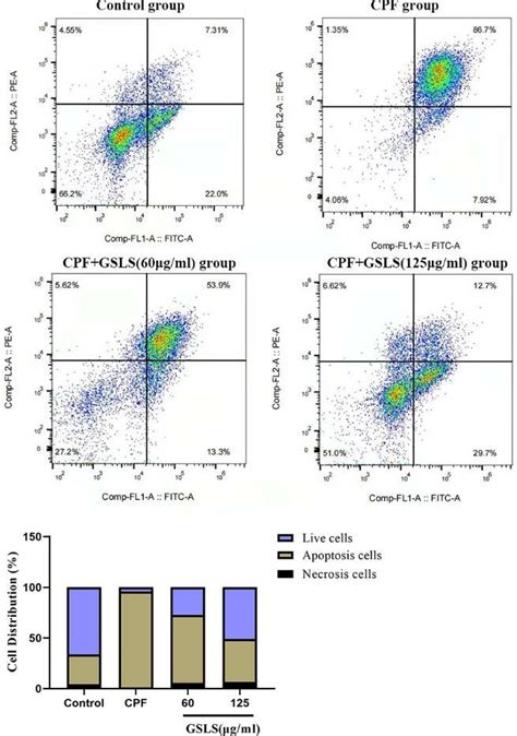 Annexin V Pi Staining Results Flow Cytometry Was Detected The Download Scientific Diagram