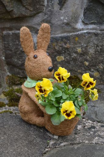 Bunny Planter Buster The Coco Fiber Topiary Planter