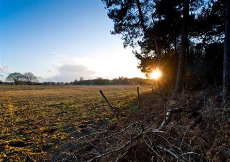 Sundown Wheldrake Woods By Davepphotographer On Deviantart