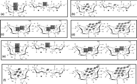 Proposed Schematic Representation Of The Structural Orientation In The