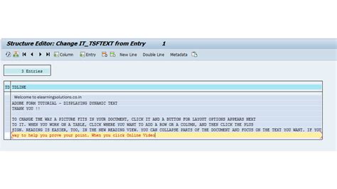Sap Adobe Interactive Form Tutorial Part Ix Displaying Dynamic Text In