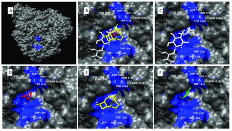 Molecular Modeling Of Cinnamon Essential Oil Constituents Docked With