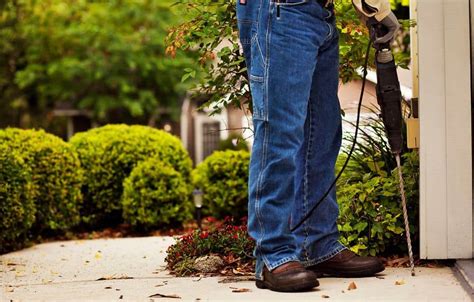 Best Termite Treatment Pied Piper Pest Control