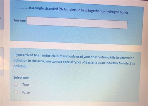 Solved Is A Single Stranded RNA Molecule Held Together By Chegg Com