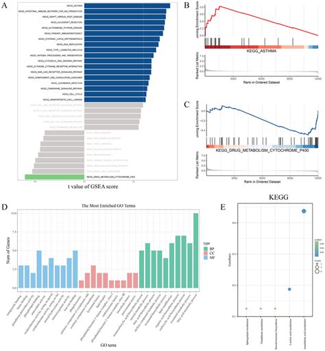 Gsea And Functional Enrichment Function Analysis A Bar Graph Showing