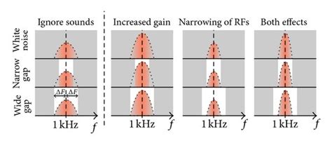 Selective Attention Increases Both The Gain And Selectivity Of Download Scientific Diagram