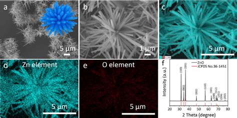 A Sem Image Of The Flower Like Zno Superstructure And Its Schematic
