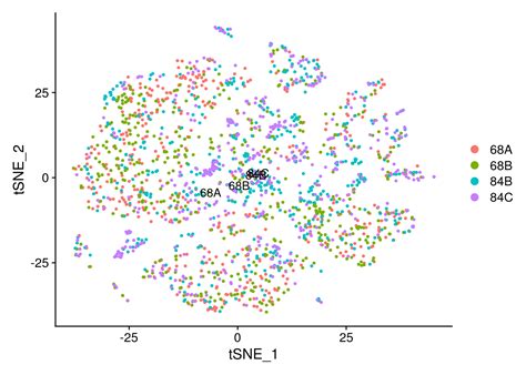 Chapter 6 Seurat Individual Batch Effect Exploration Single Cell Multi Omics Data Analysis