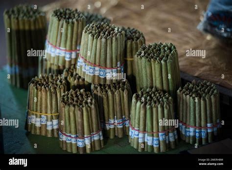 Myanmar Eastern Myanmar Inle Lake Nampan Cheroot Rolling Workshop Cheroots For Sale Stock