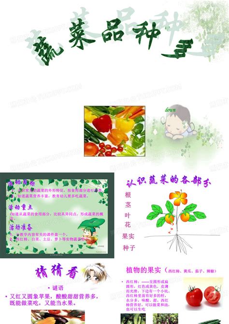 认识蔬菜ppt模板下载熊猫办公