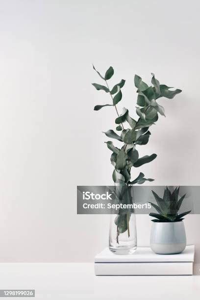 유칼립투스 가지와 흰색 배경에 집식물화 꽃병 내부에 친환경 소재 공간을 복사하고 모의합니다 0명에 대한 스톡 사진 및 기타 이미지 Istock