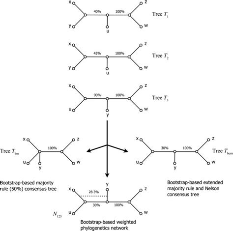 bootstrap based consensus trees and networks bootstrap based majority download scientific