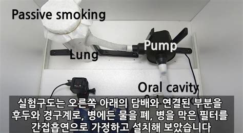 액상형 전자담배 Vs 궐련형 전자담배 Vs 일반 연초담배 비교 실험 인스티즈 Instiz 이슈 카테고리