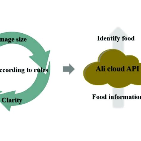 Aliyun Food Recognition Model Download Scientific Diagram