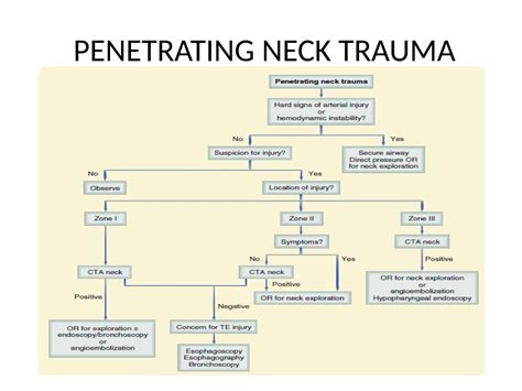 Surgical Anatomy Of Neck And Trauma Management Pptx
