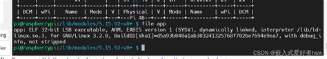 bash： app 没有那个文件或目录（已解决） bash安装显示没有那个文件或目录 csdn博客