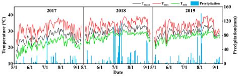 Effects Of Planting Density And Nitrogen Management On Light And Nitrogen Resource Utilization