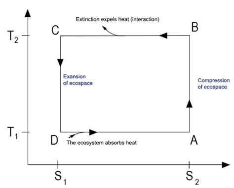 The Thermodynamic Considerations Of Biological Evolution The Role Of Entropy Glycopedia