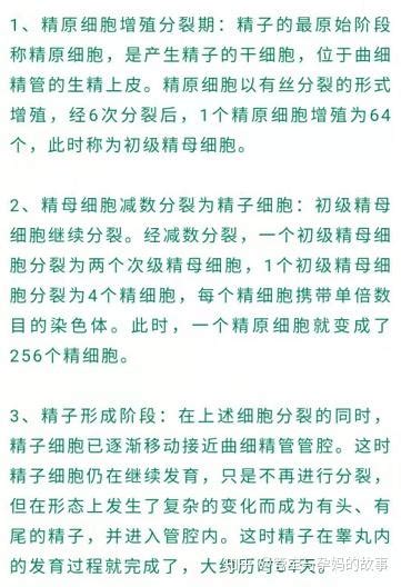 如何提高精子质量做到一击即中早日成就爸业 知乎