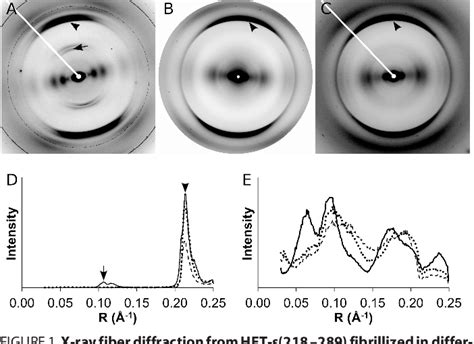 Figure 1 From Heterogeneous Seeding Of A Prion Structure By A Generic