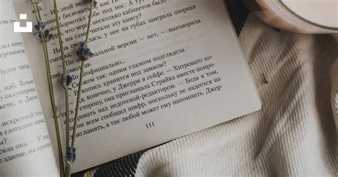 봉헌 촛불 옆 열린 책에 꽃 사진 Unsplash의 무료 책 이미지