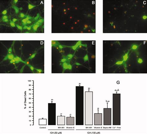 Af Representative Photographs Showing The Effect Of Mk 801 C