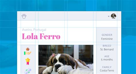 Css Grid Layout — Crossed Sections By Rafaela Ferro Deemaze Writing