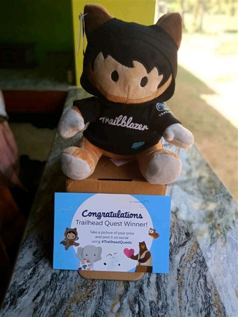 Dasharath Shetty On Linkedin Astroplushie Salesforce Trailblazercommunity Trailblazer