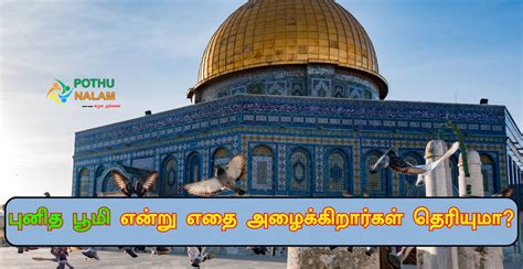 Interesting Gk Quiz In Tamil பொது அறிவு வினா விடை