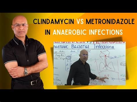 Free Video Clindamycin Vs Metronidazole For Anaerobic Infections From Dr Najeeb Lectures