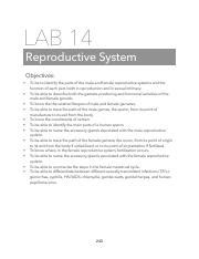 Understanding The Reproductive System Male And Female Anatomy Course Hero