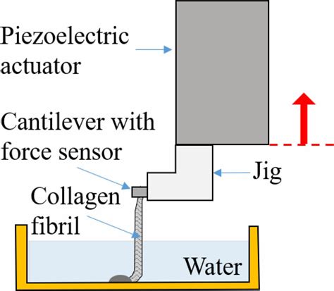 Concept Of Tensile Test Download Scientific Diagram