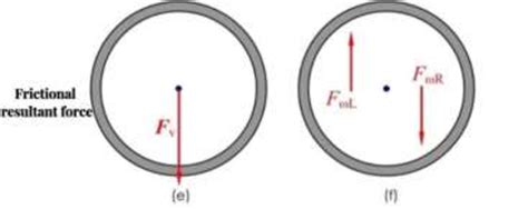 Force Analysis Of Curling Rotation Torque Vs Angular Momentum Download Scientific Diagram