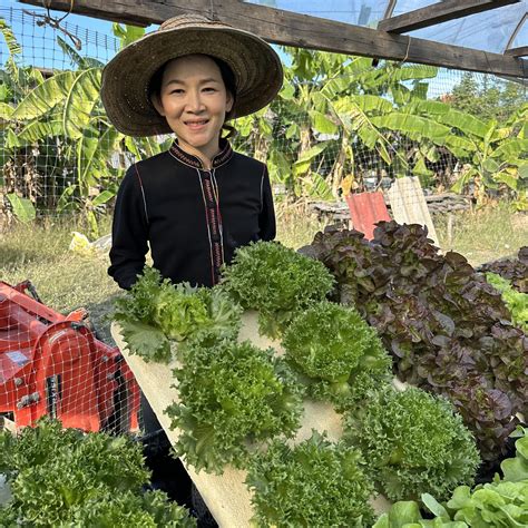 โหนกระแส ลุงเปี๊ยก คนก่อเหตุคลั่งทำร้ายพยาบาลและเจ้าหน้าที่ฯ รพ หนองหาน จ อุดรธานี ขอโทษกับ