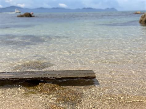 福井でプチジャズコンサート