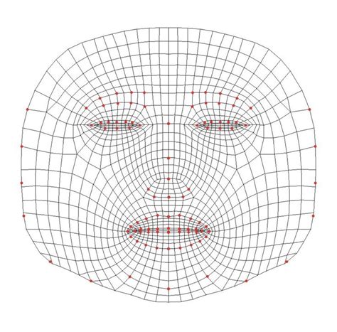 Face Assets Filterinstagram Geometric Face Face Mesh Spark Ar