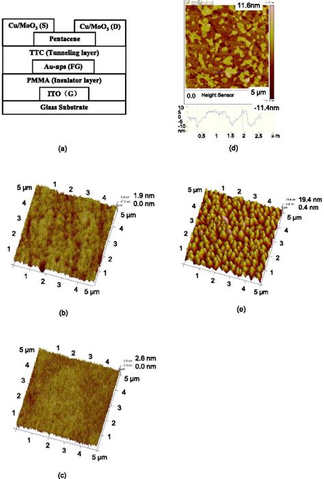 Ambipolar Organic Thin Film Transistor Based Nano Floating Gate Nonvolatile Memory Applied
