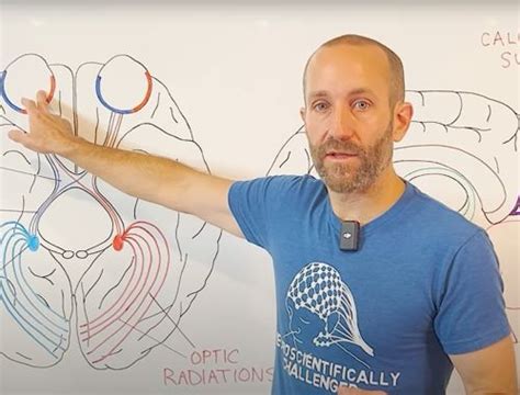 Neuroscientifically Challenged