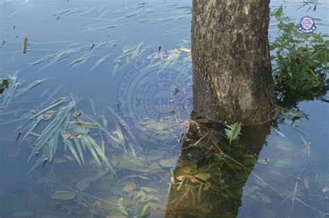 တောင်ငူခရိုင်တွင် ရေကြီး ရေလျှံမှုကြောင့် ပြည်သူ ၇ ဦးသေဆုံးပြီး ရွာပေါင်း ၇၅ ရွာ နစ်မြုပ်နေကာ လူ