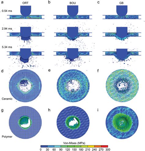 Finite Element Simulations Ac Cross Sectional View Showing The Download Scientific Diagram