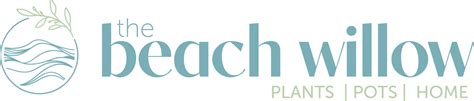 The Beach Willow Plants Pots Homwares Torquay