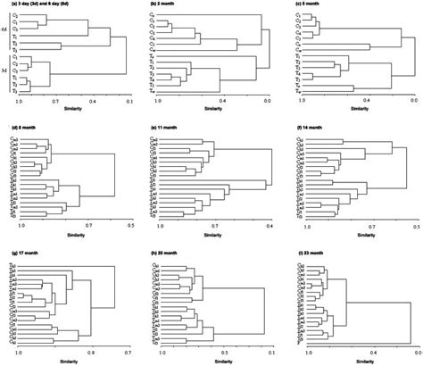 The Similarity Matrix Was Calculated Using The Binary Data And Download Scientific Diagram