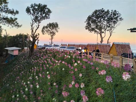 🌤 มอนิ่ง เช้านี้ สวนดอยแม่อูคอ ที่พักทุ่งดอกบัวตอง